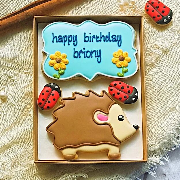 Personalised 'Hedgehog & Ladybird' Biscuit Set - Yumbles.com