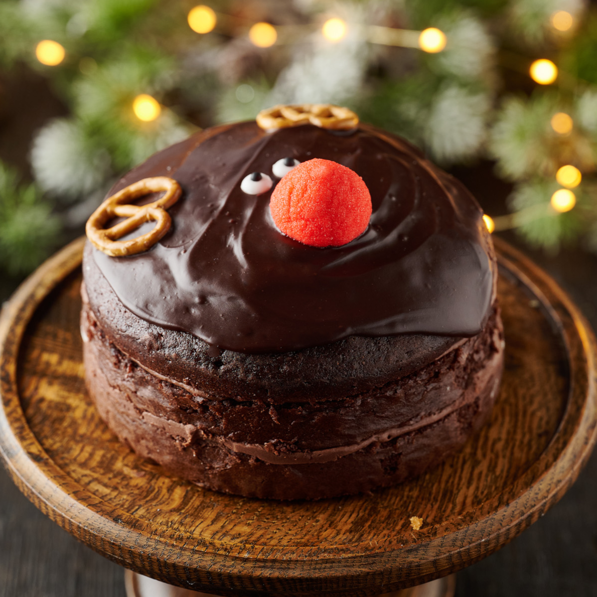 Festive Chocolate Rudolph Cake - Yumbles.com