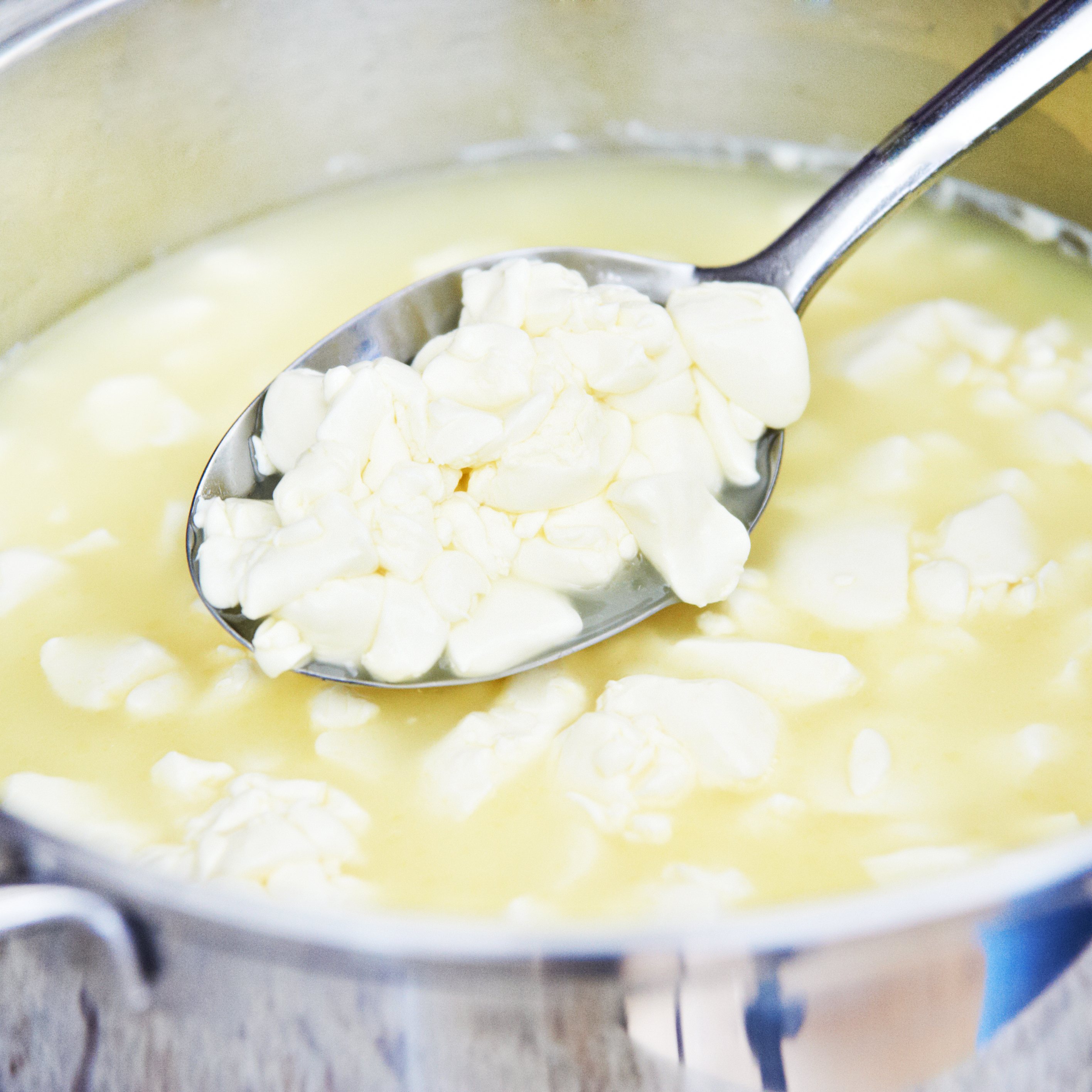 Mozzarella & Ricotta Cheese Making Kit - Make Fresh Italian Cheese at ...