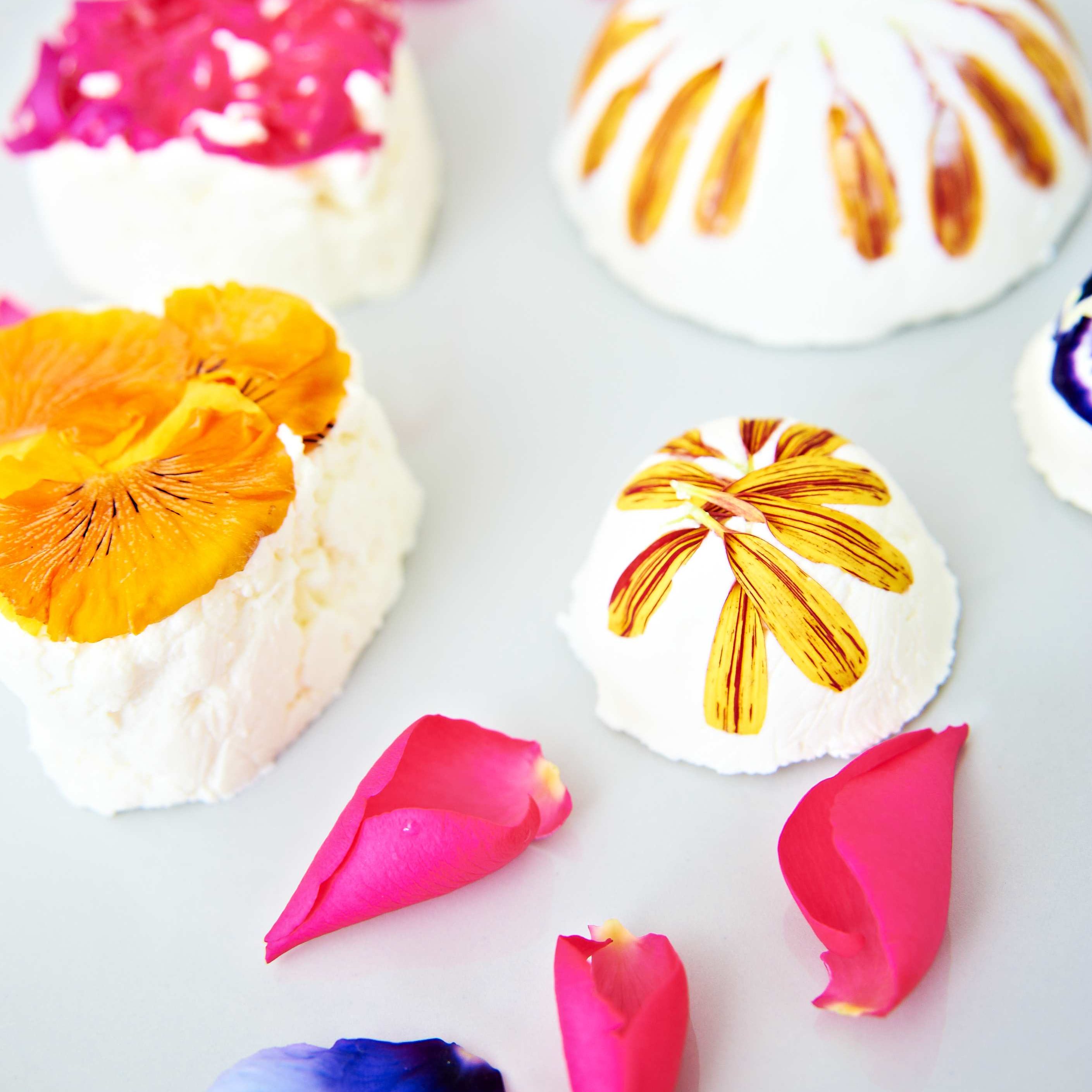 Goats Cheese Making Kit - Make Fresh Cheese at Home - Beginner Friendly ...