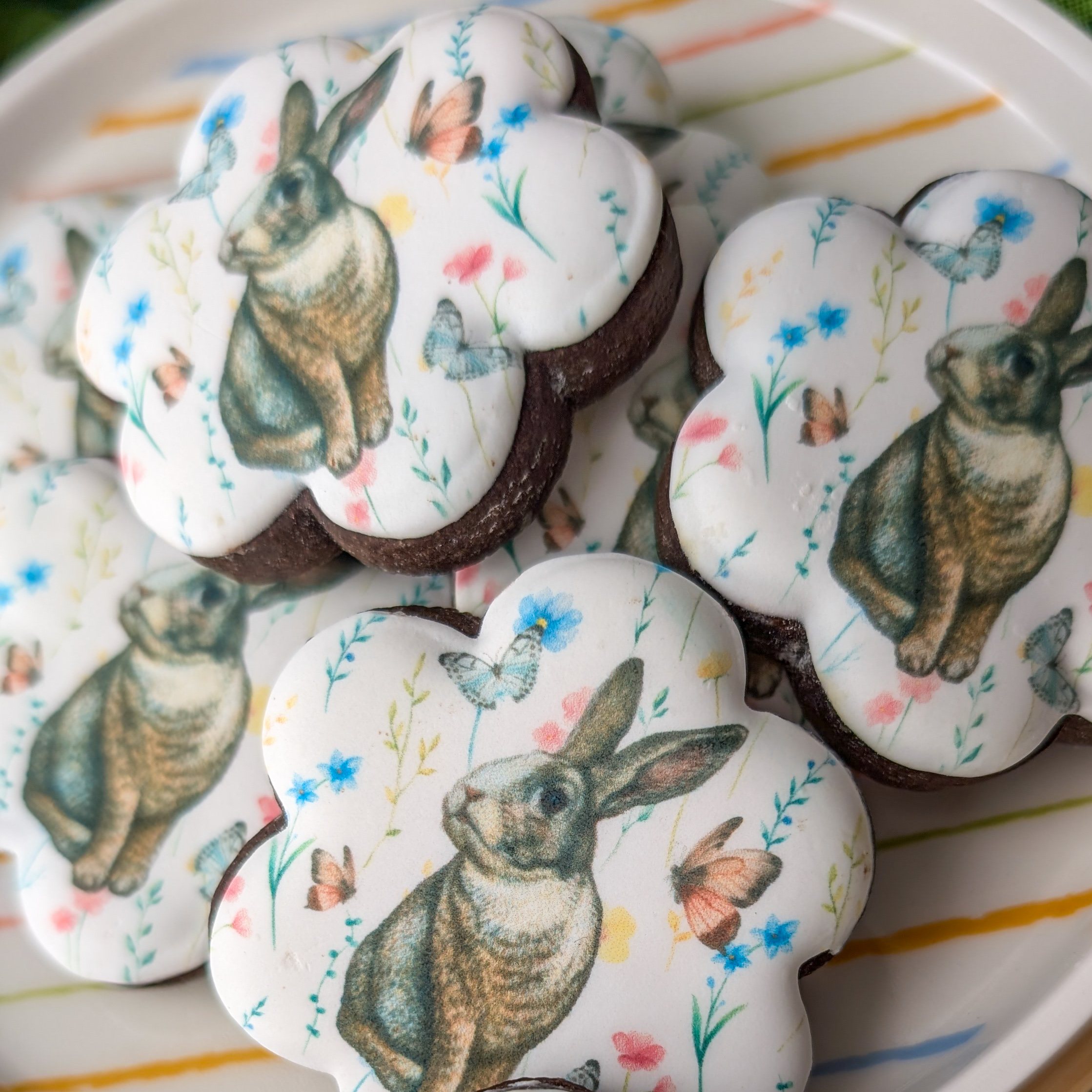 Bunny Rabbit Easter Biscuit Gift Box, 8 Biscuits - Yumbles.com