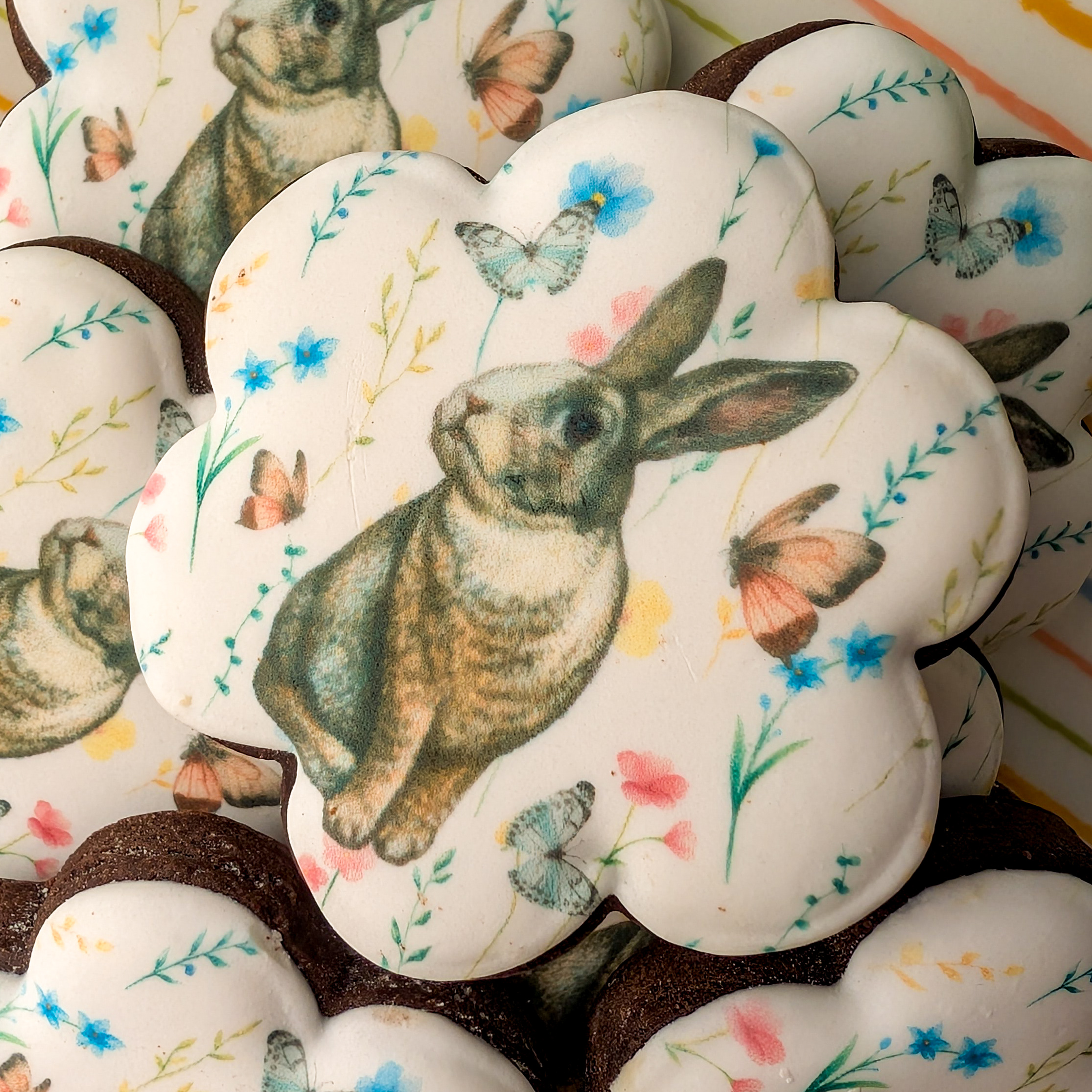 Bunny Rabbit Easter Biscuit Gift Box, 8 Biscuits - Yumbles.com