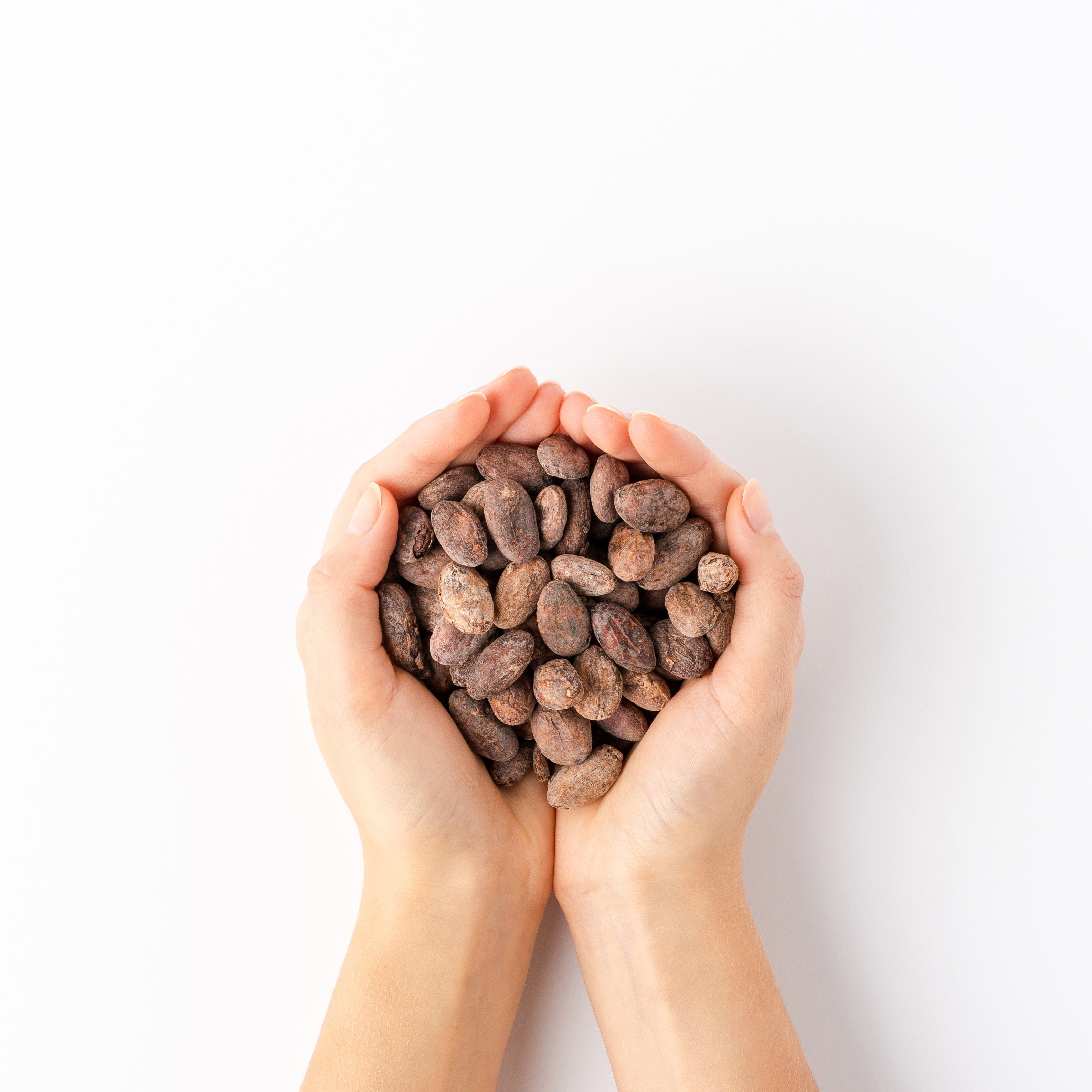 Single Origin Cocoa Beans 1kg - Whole Raw Indian Cocoa Beans - Yumbles.com