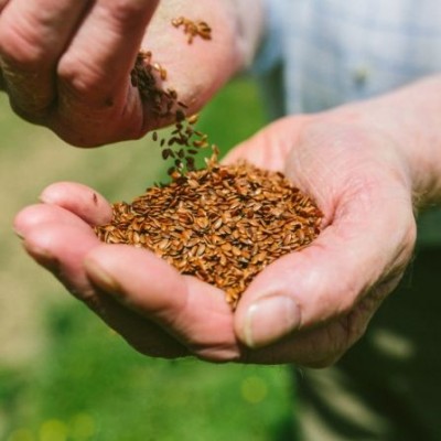 The Linseed Farm on Yumbles.com